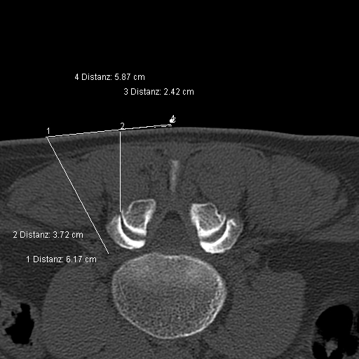 PRT - Diagnostikum Berlin